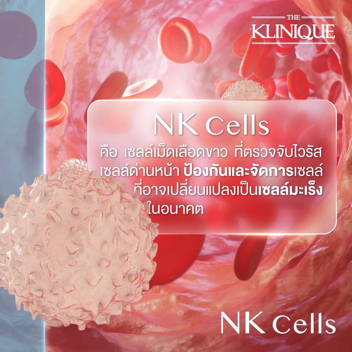 ทำความรู้จักกับ “NK Cell” เซลล์เพชรฆาตตัวช่วยป้องกันความเสี่ยงมะเร็ง ...