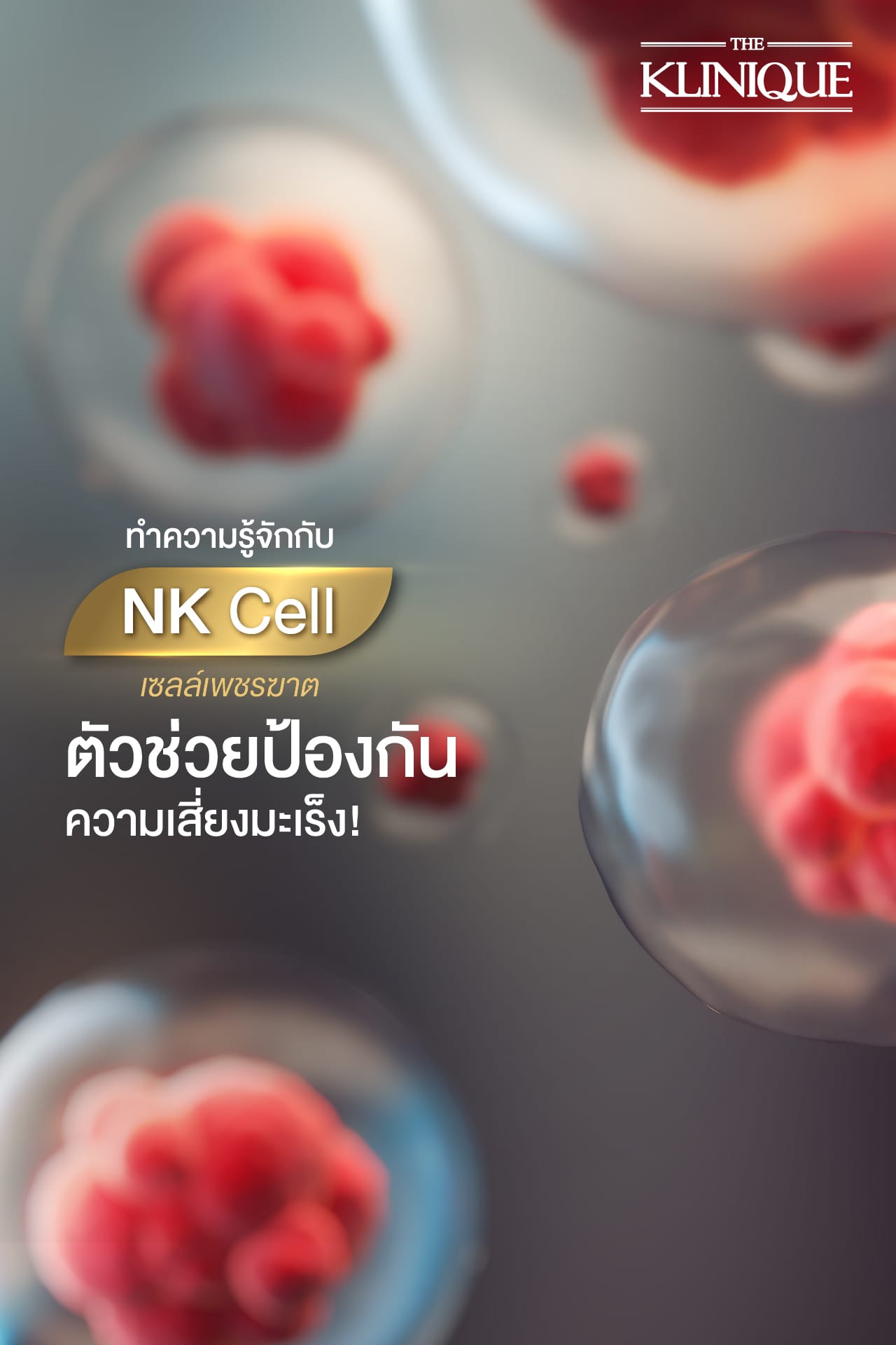ทำความรู้จักกับ “NK Cell” เซลล์เพชรฆาตตัวช่วยป้องกันความเสี่ยงมะเร็ง ...